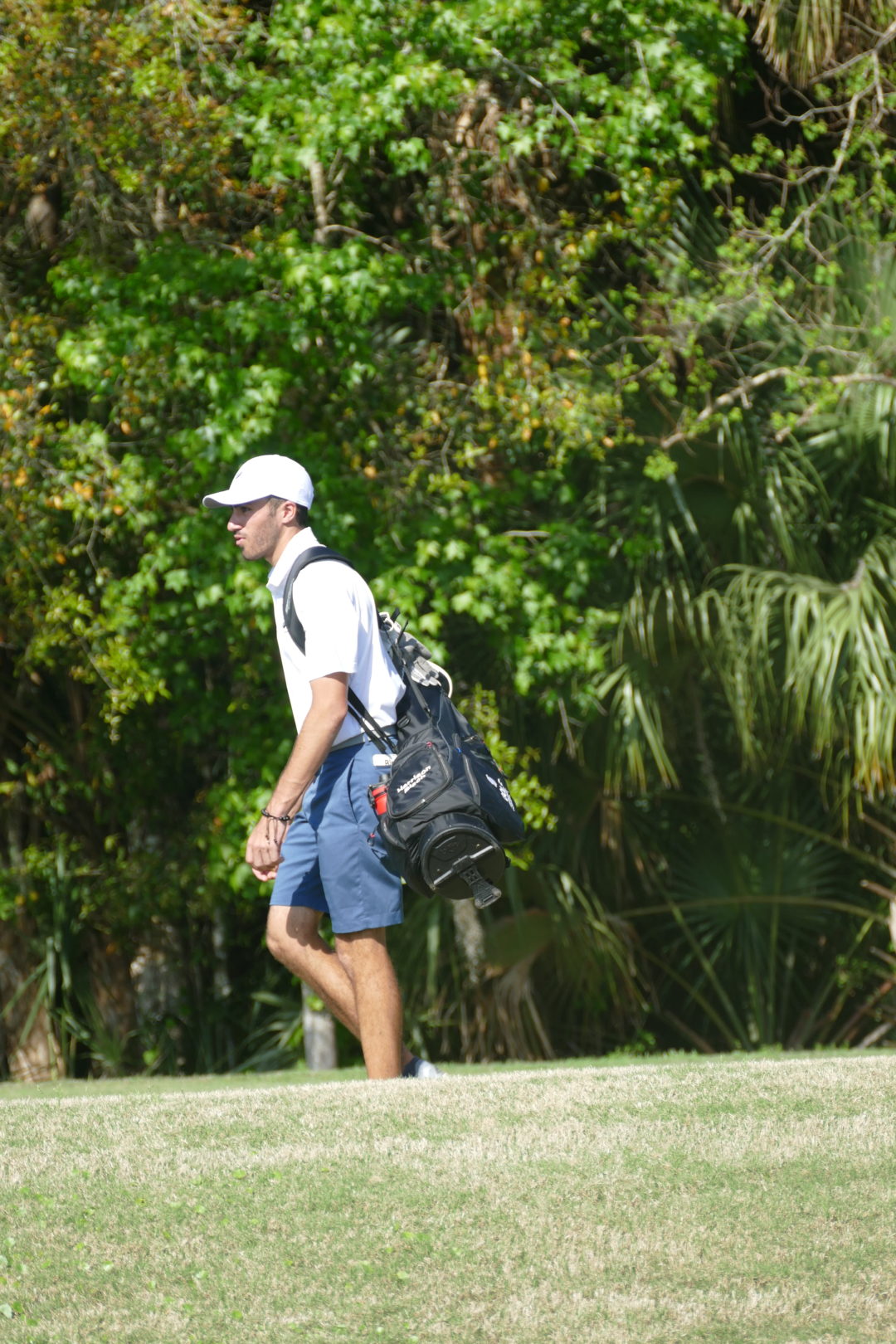 Junior Golf Rankings: Junior Golf Scoreboard, AJGA Rolex & More ...